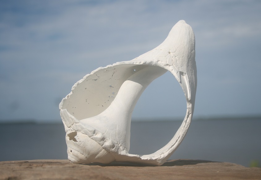 The Treasure Beaches Report Direct From Florida's Treasure Coast.: 11/3 ...