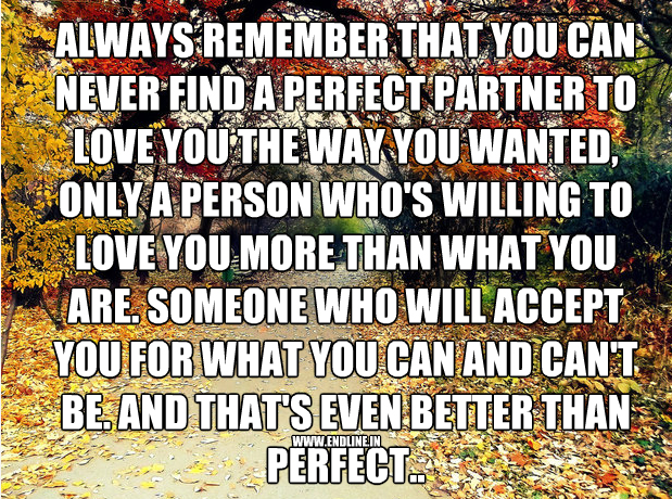You can never find a perfect partner.. ~ Amazing Pictures