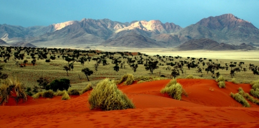 Healthy Leadership: Mohlomi: Chief and Philosopher