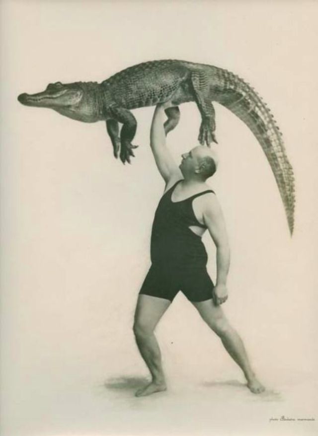 27 Incredible Vintage Photographs of People Posing With Alligators ...