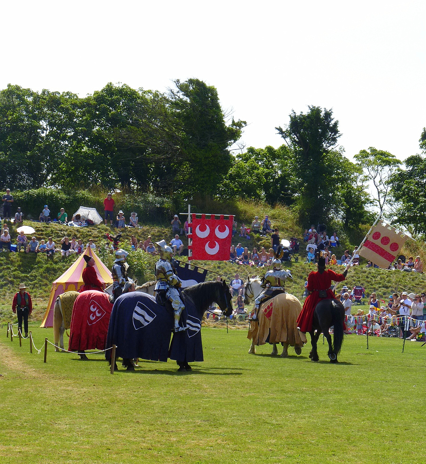 Birding For Pleasure: Jousting At Carisbrooke Castle