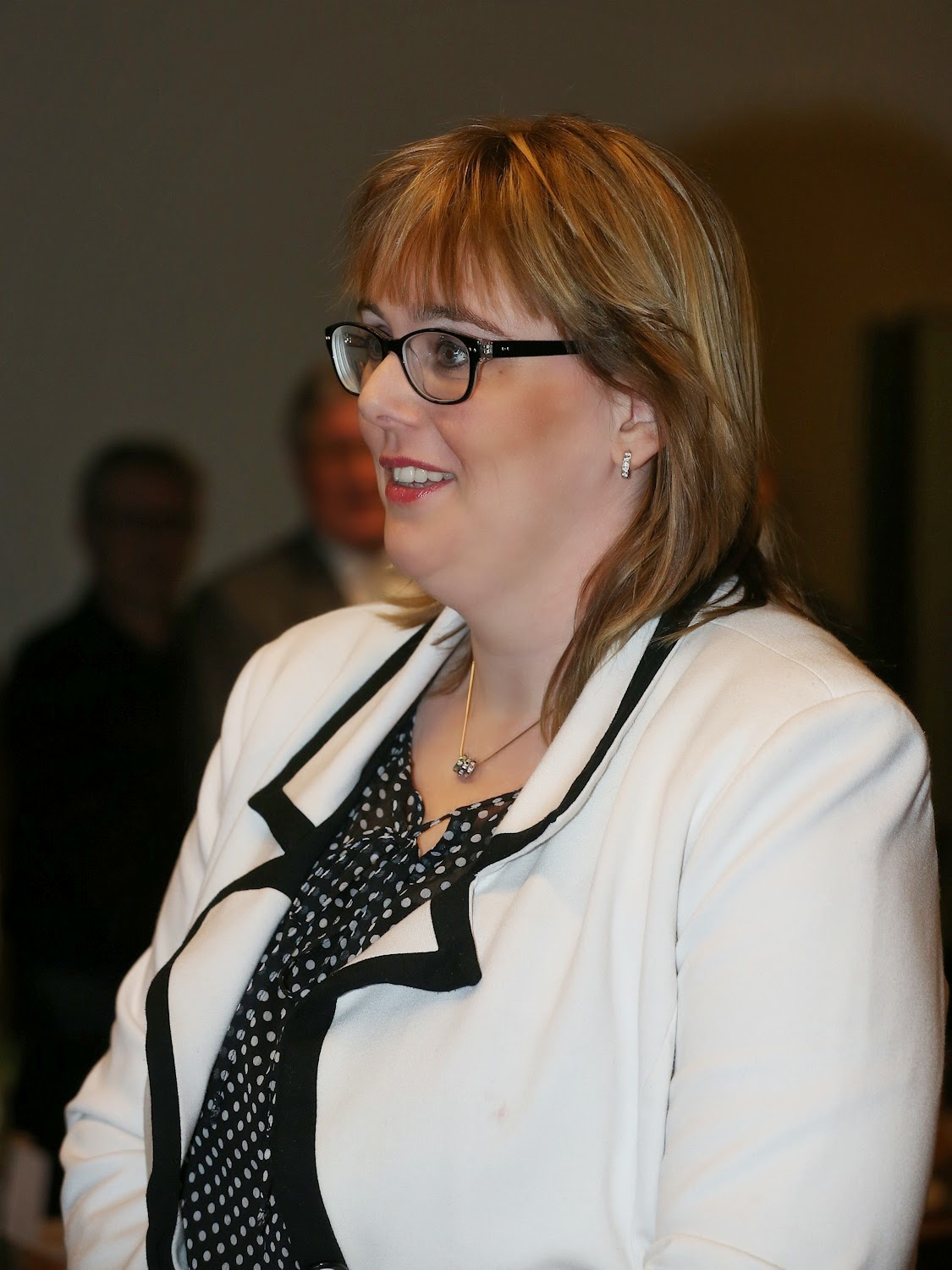 Meijco: Nieuwe raad Bellingwedde