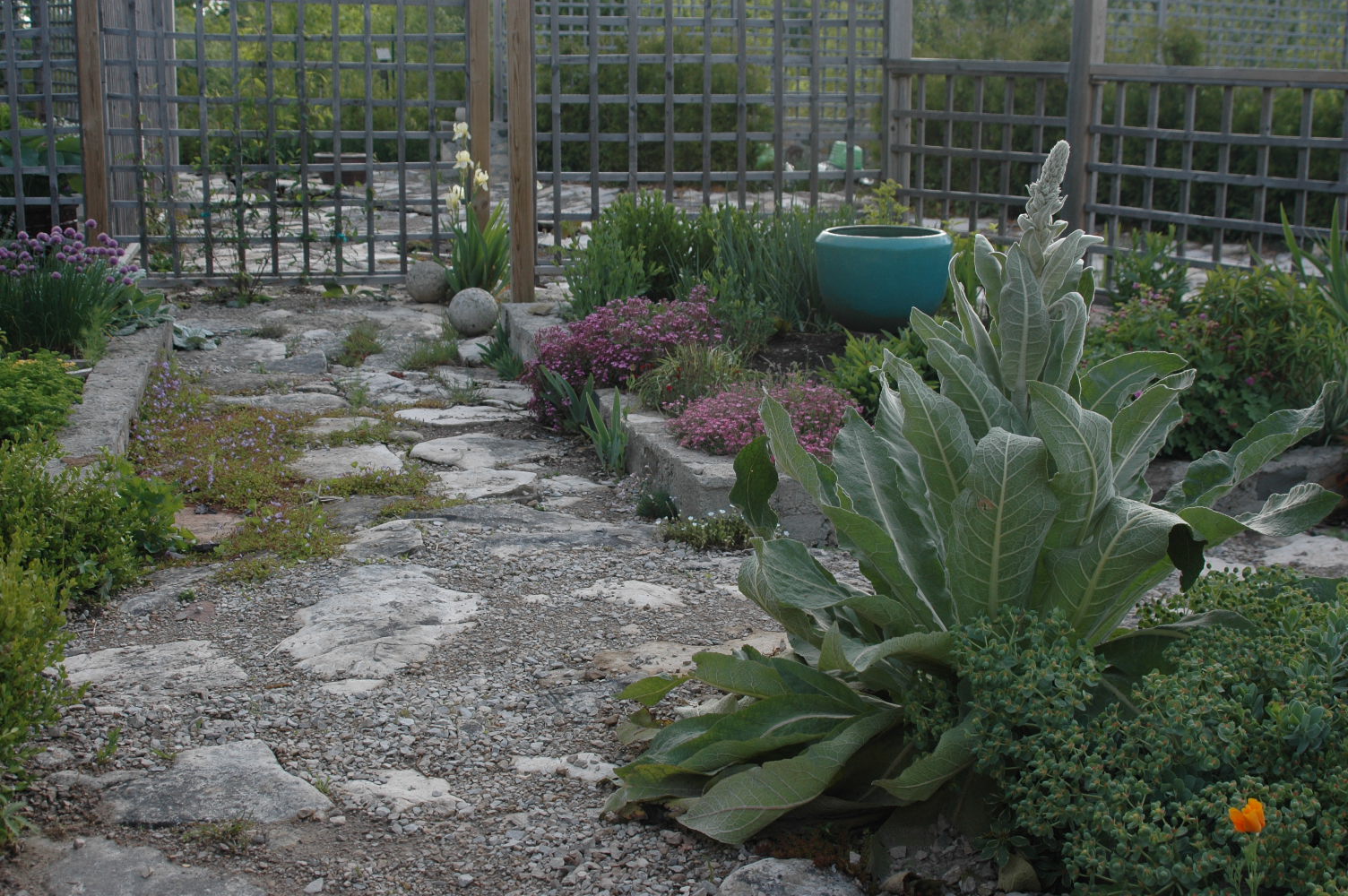 Roche Fleurie Garden: The Cold Garden Micro-climates
