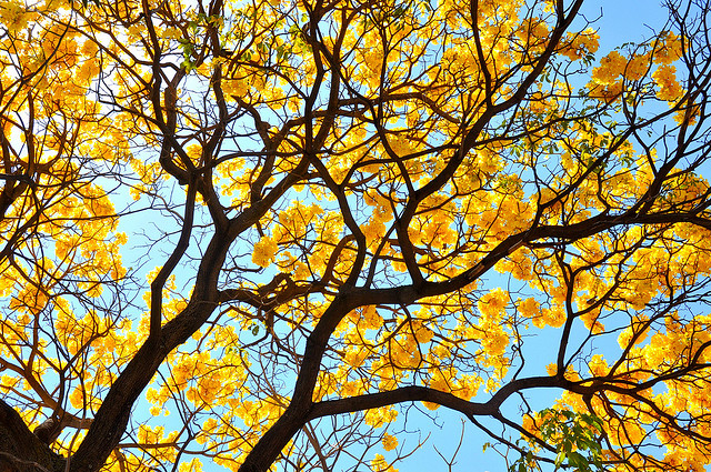 Huatulco Life: Summer in Huatulco - Part 2