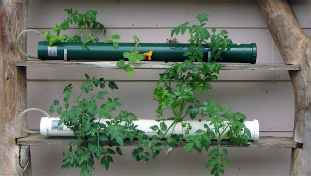 Best Organic Hydroponic Nutrient Solution - Home & Garden