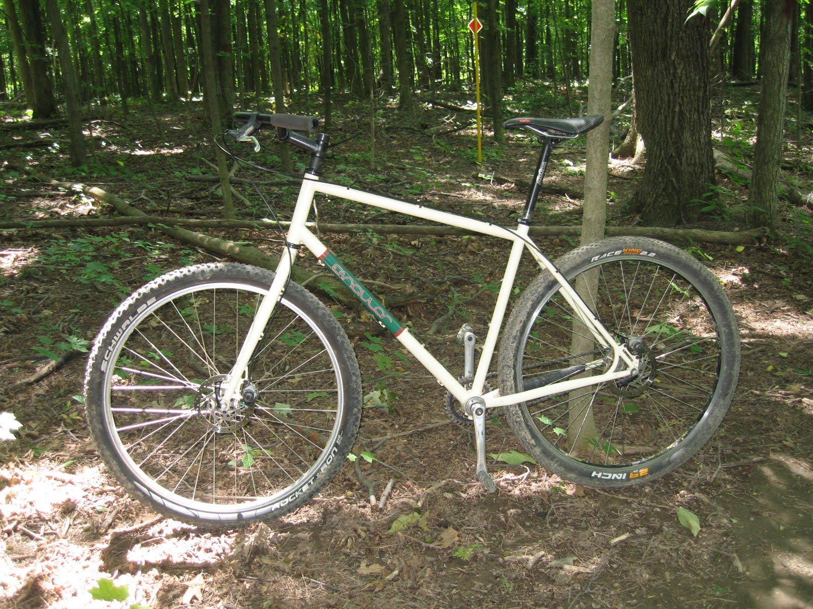 Bikes and Playgrounds: Bike #65: Singular Gryphon Intro and Review