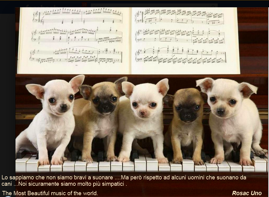 LA VERITA' E' CORAGGIO: gif simpatiche- i musicisti ....