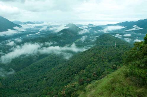 Take a Break at Nadukani View Point