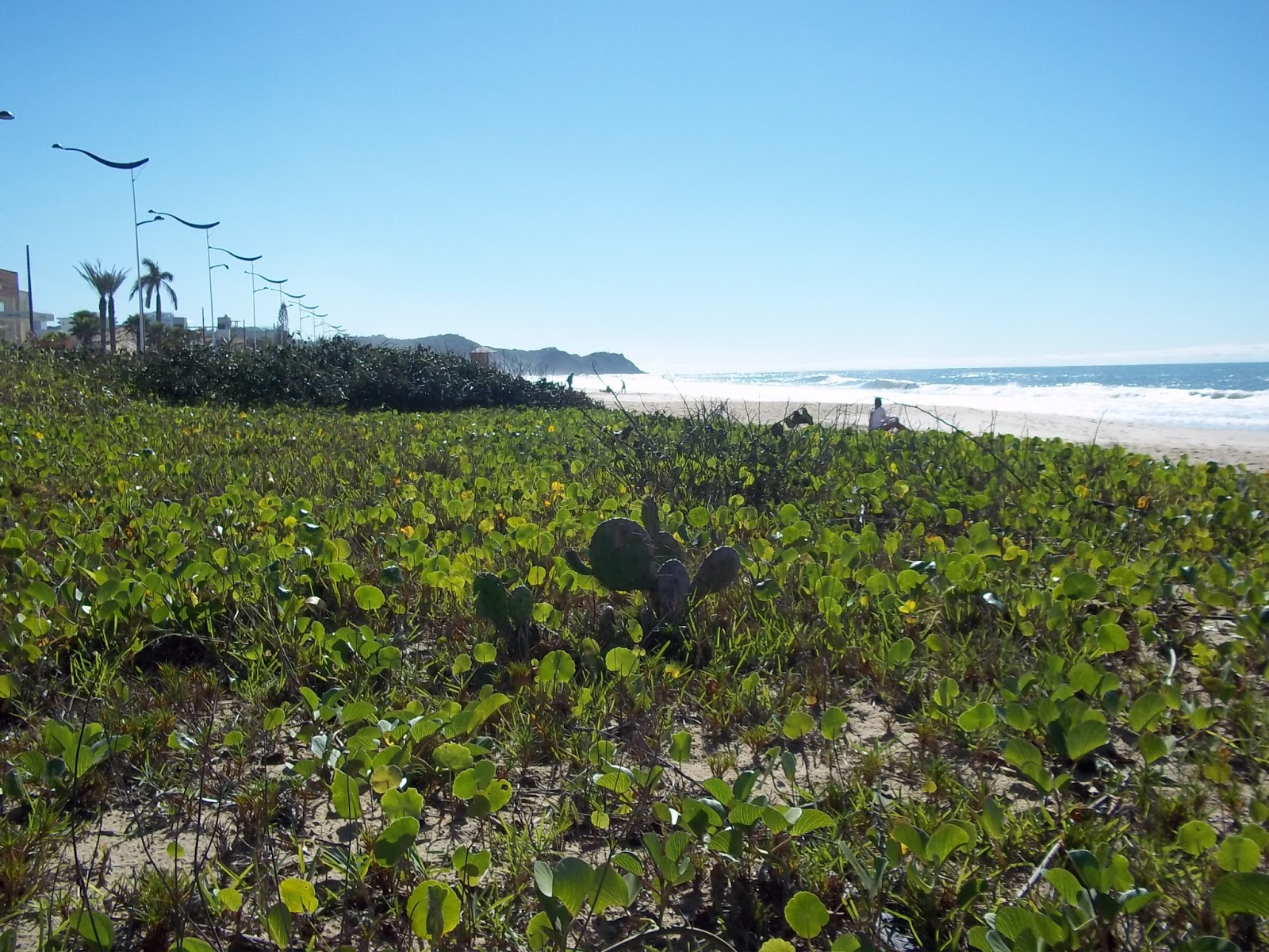 Mecânica Fácil : Restinga