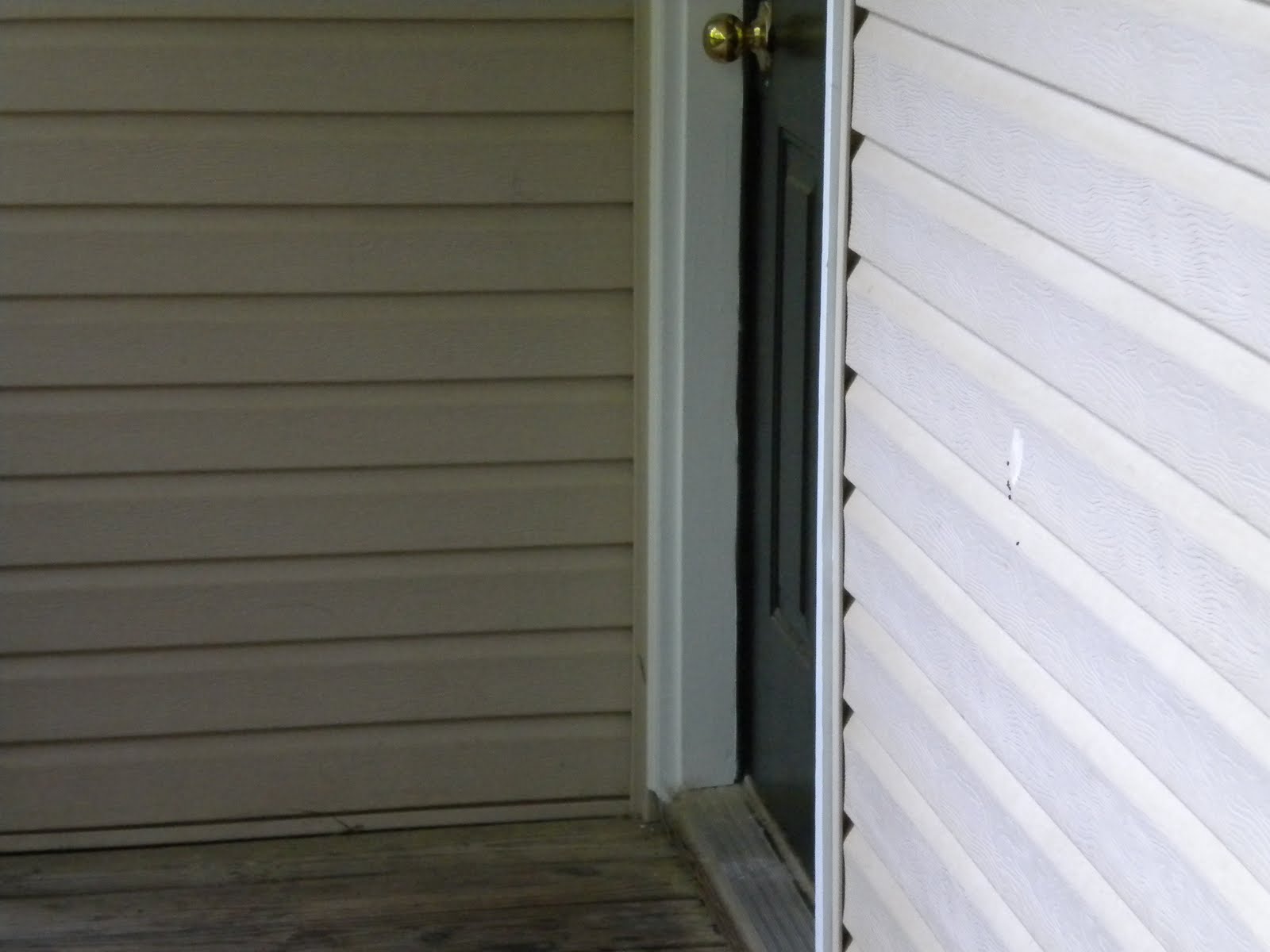 Elizabeth Poole: How? Warning: This Post Contains Bird Poop