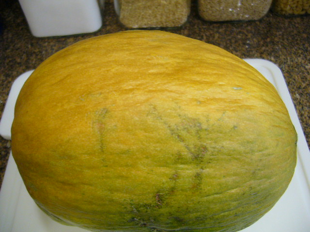 Sacramento Vegetable Gardening: The Crenshaw Surprise