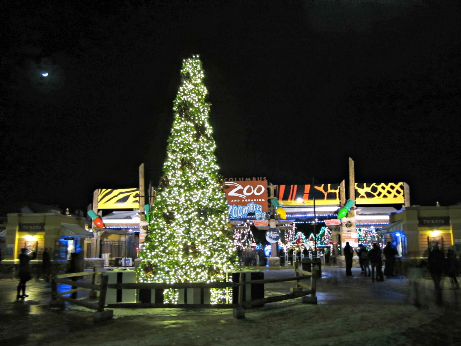 Cbus52: Columbus in a Year: Wildlights at the Columbus Zoo and Aquarium