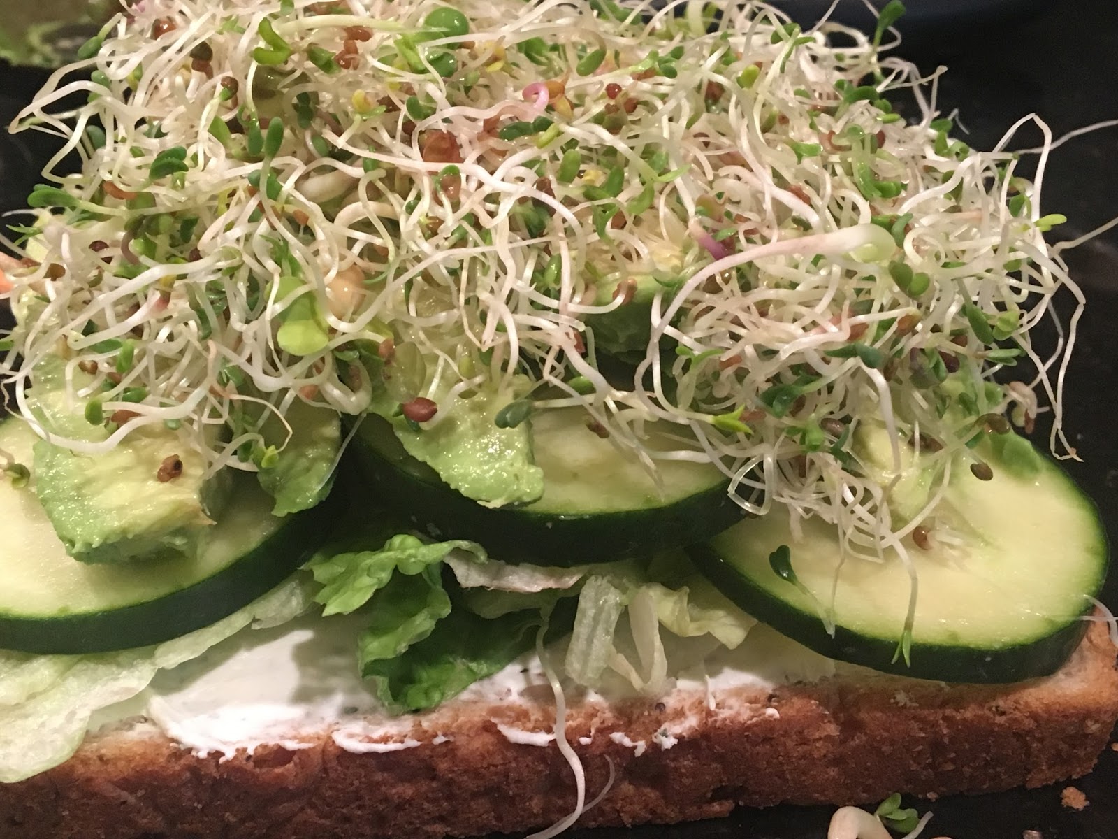 Veggie Sandwich and growing your own Sprouts