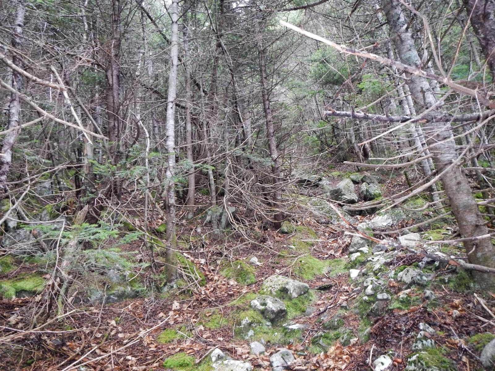 Hitting the Trails: 10/20/2013-10/21/2013 Mount Adams and The Great Gulf