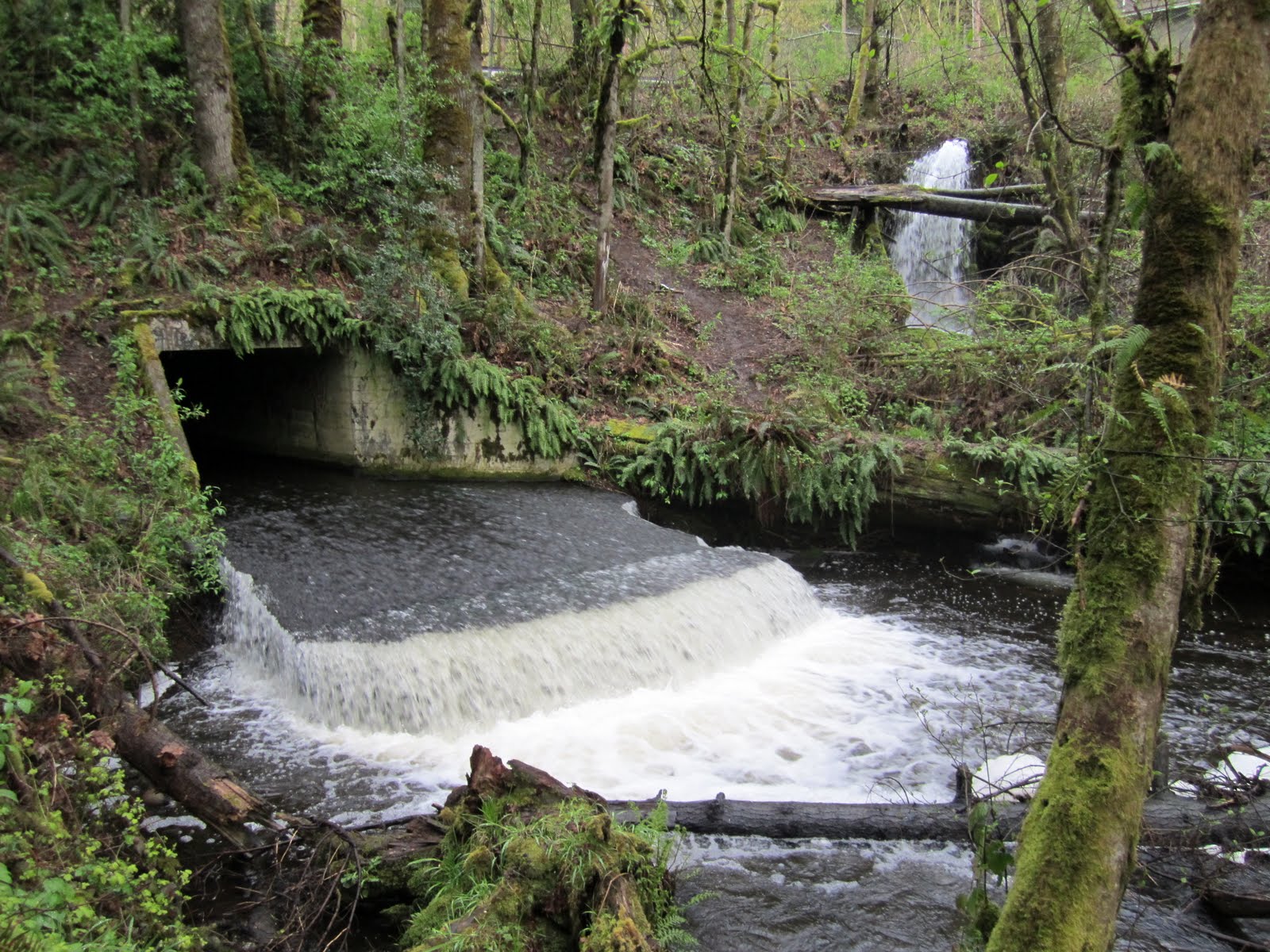 Washington Seattle Mission