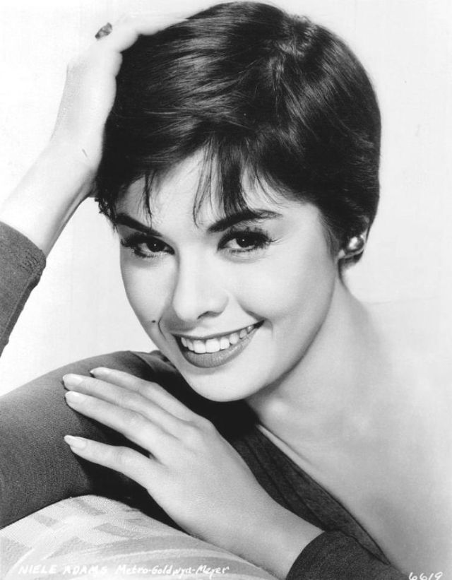 Beautiful Photos of Young Neile Adams, the First Wife of Steve McQueen ...