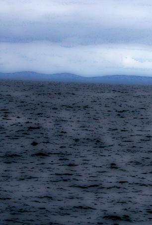 The trawler Gaul: February 2013