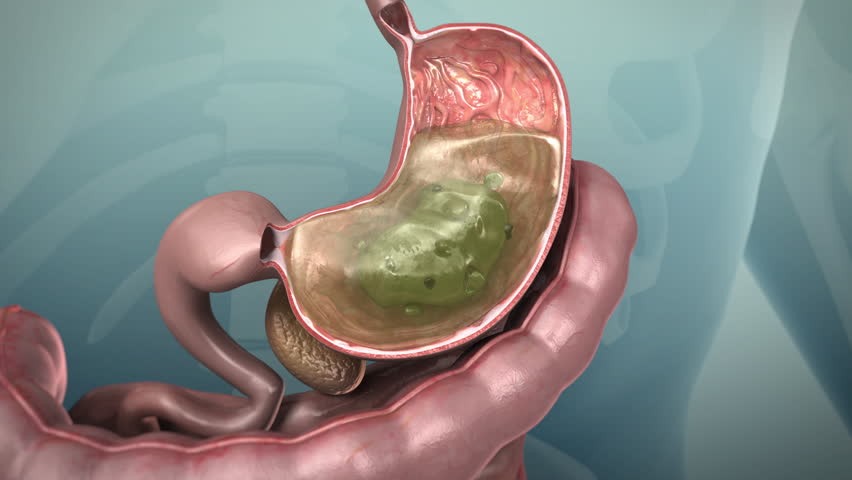 DIGESTIVE SYSTEM - Healthcine