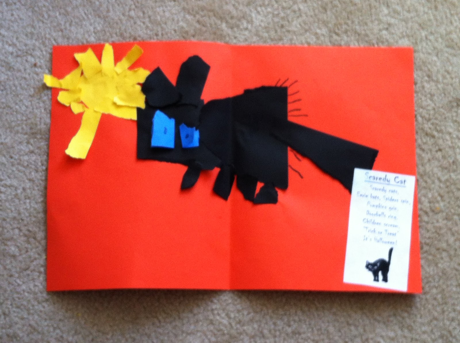 Growing Memories and Minds: Cat Paper Tearing