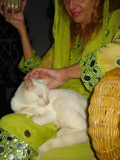 RECENTLY RELEASED PICTURES OF JACK IDEMA IN MEXICO