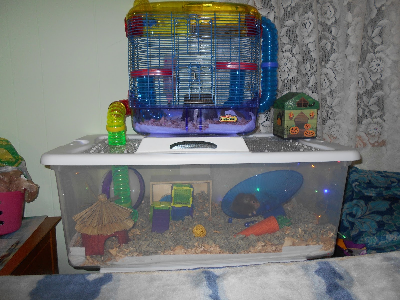 Crafty Kat: New Bin Cage for Chunkers the Hamster!