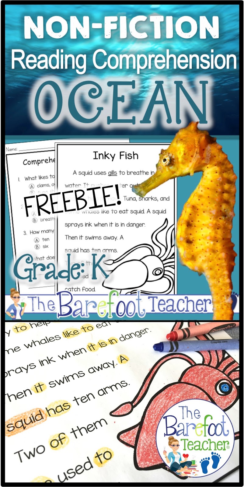 Ocean Themed Reading Comprehension Pack Plus a FREE DOWNLOAD | The ...