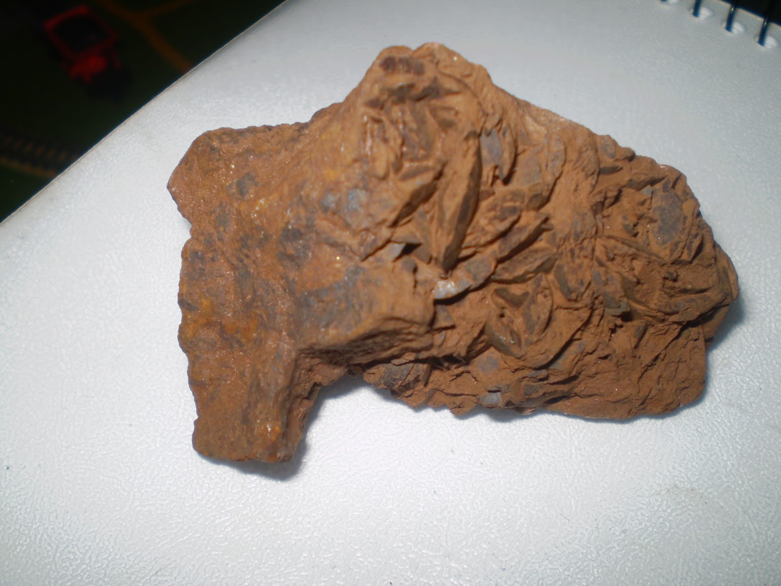 Blog de campo y minerales: noviembre 2012