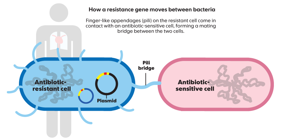 GHS 320 Blog: Antibiotic Resistant Bacteria CRE
