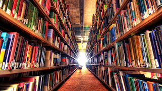 Bibliotecas Digitales vs Bibliotecas Tradicionales : Biblioteca Tradicional