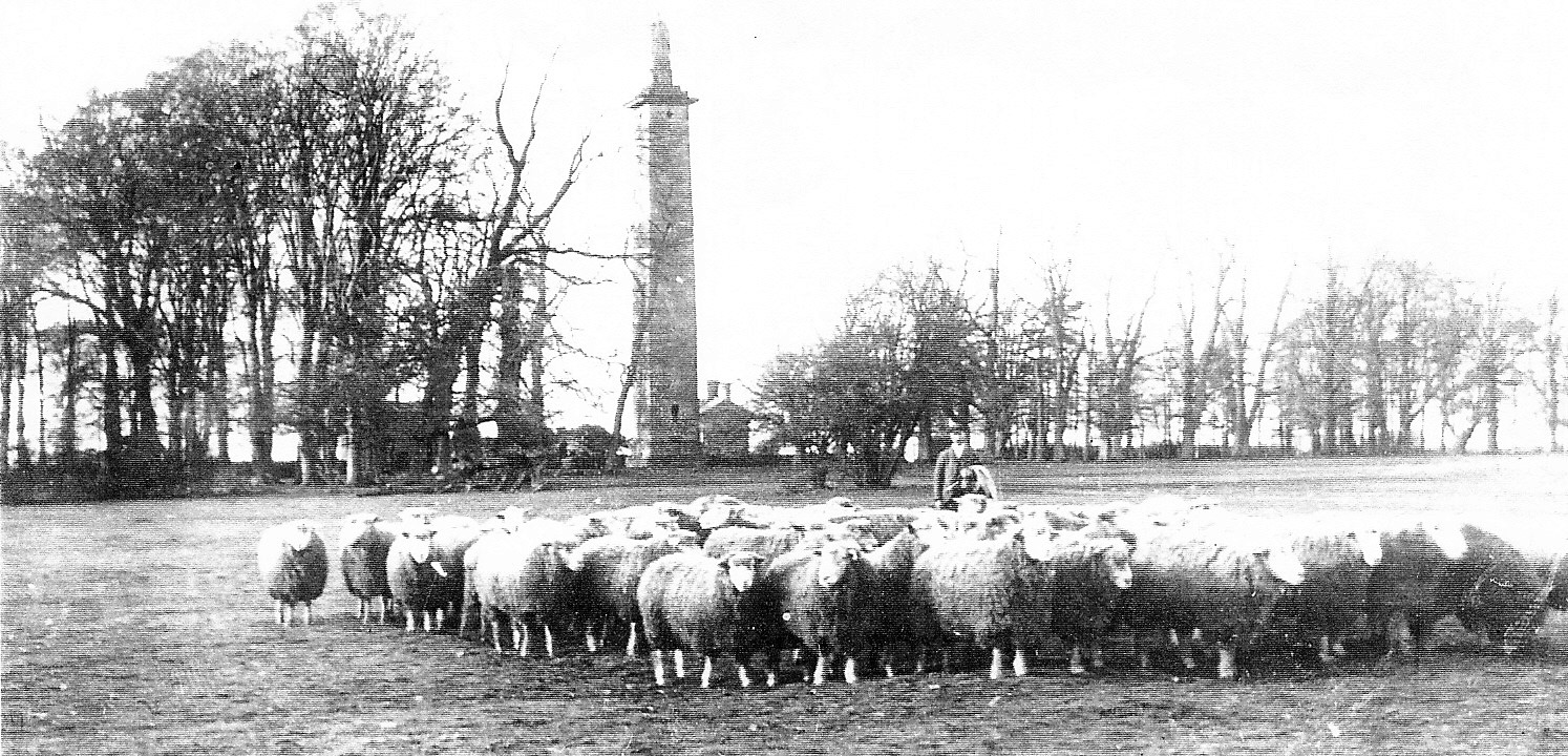 Nocton in Lincolnshire: Dunston Pillar
