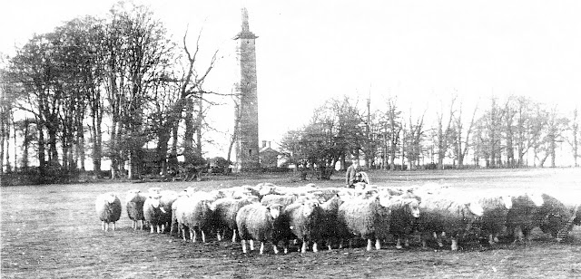 Nocton in Lincolnshire: Dunston Pillar