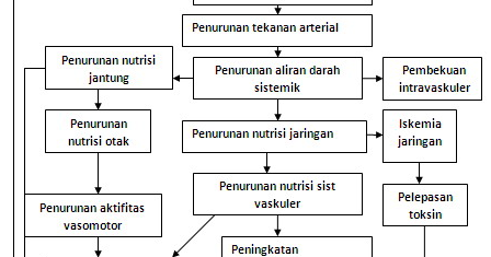 Laporan Pendahuluan / LP Syok Lengkap, Download Format Pdf dan Doc