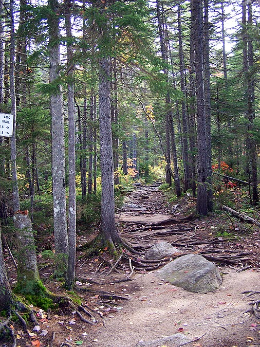 Hiking in the White Mountains: Whitney's 40 & 41st Peaks: North and ...