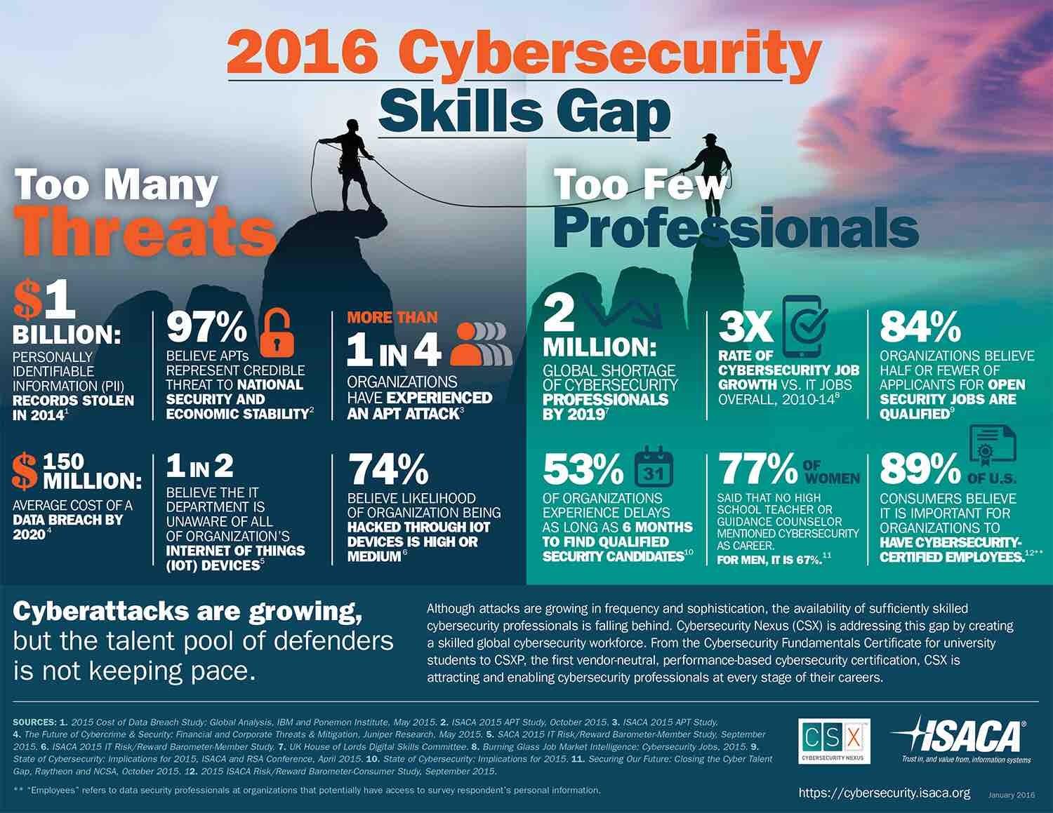 nigatech: 2016's Cyber Security skills gap