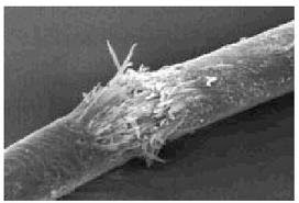 CURSO DE PELUQUERÍA Reg. Prop. Int. Barcelona B-1842-13 ISBN: 978-84 ...