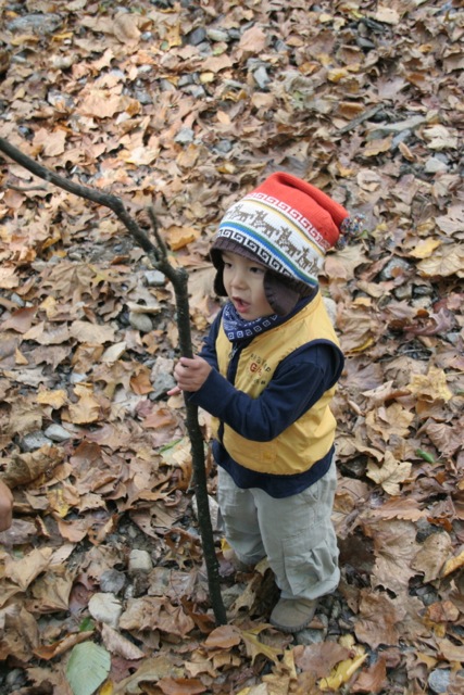 Merián Soto/ Branch Dances: Wissahickon Reunion/Yesterday's Performance