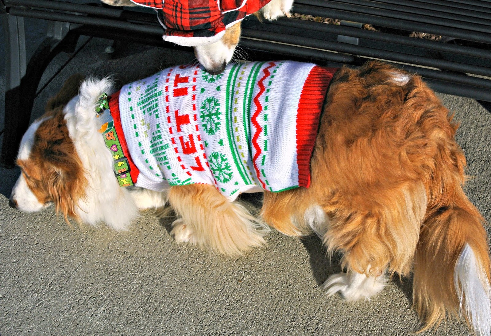 The Chronicles of Cardigan: Tacky Cardigan With Words on It, Squared ...