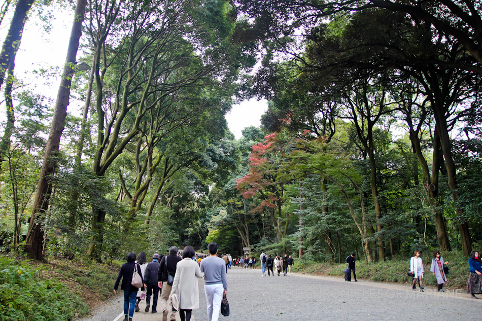 More of Western Tokyo: Shinjuku and Harajuku | The Chronicles of Mariane