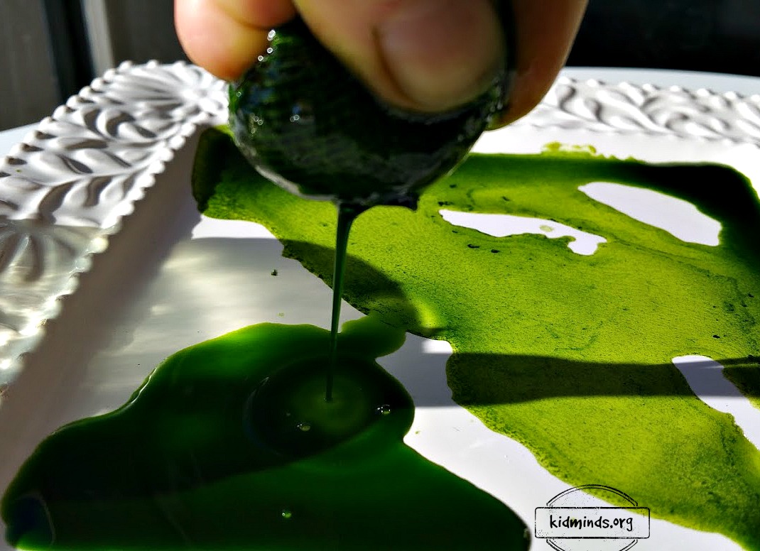 Maple Leaf Science: how to extract chlorophyll and paint a duck | KidMinds