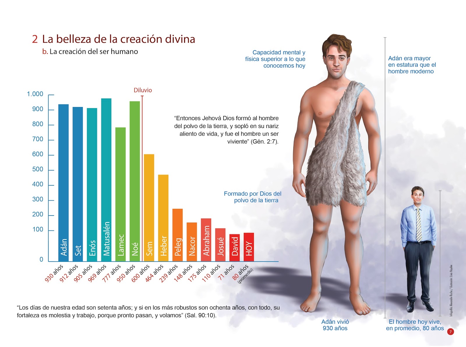 Estudio Bíblico Illustrado | 02 La belleza de la Creación Divina ...