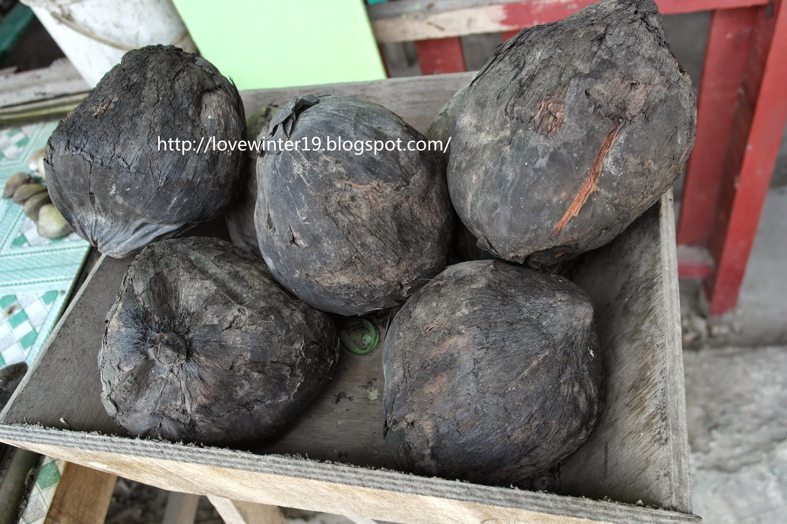 My Palace, My symphony of life and the rhythm in My heart: Sabah ...