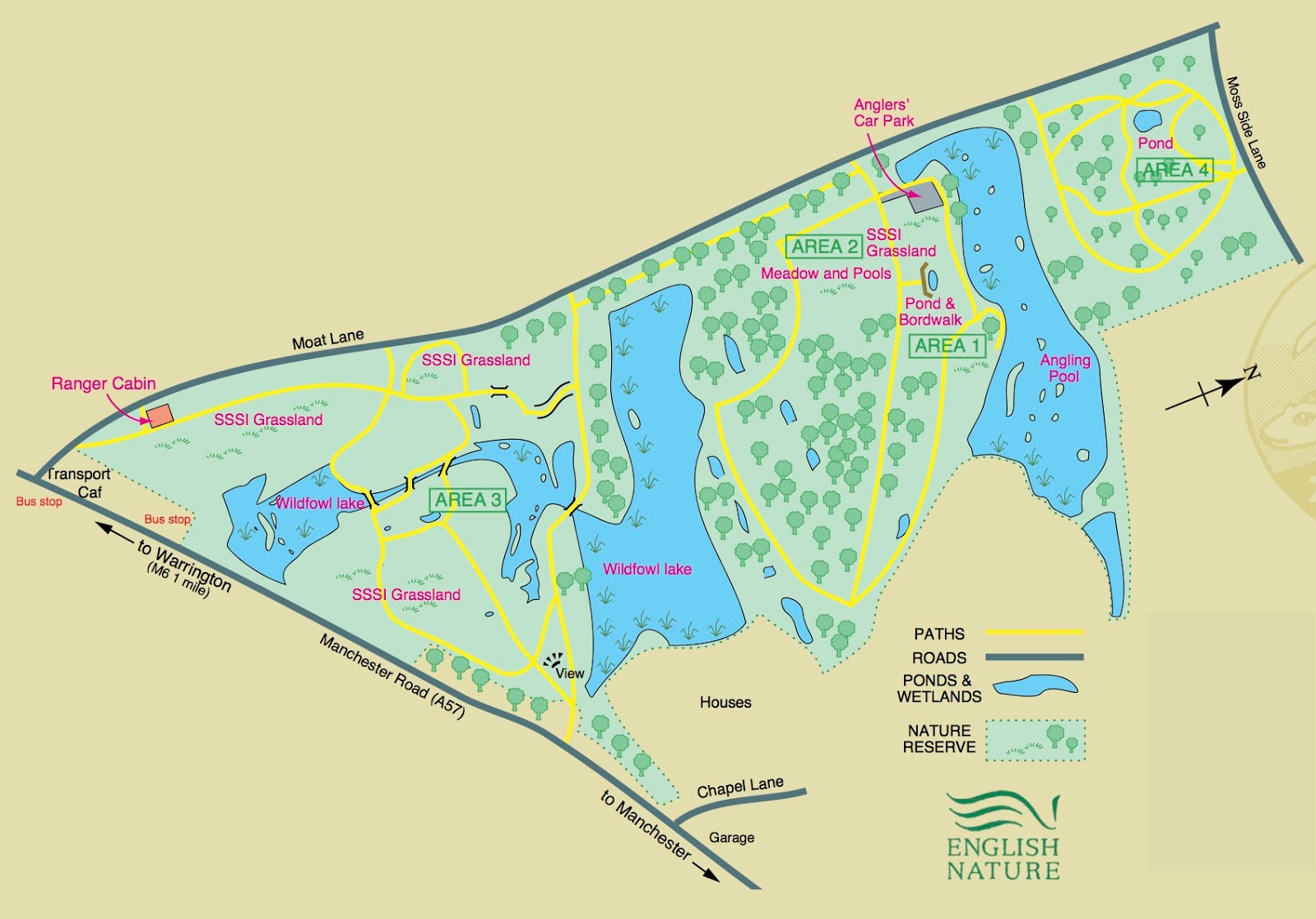 GeekTeacher's Birding Scrapbook: Damsels and Dragons again, at Rixton ...