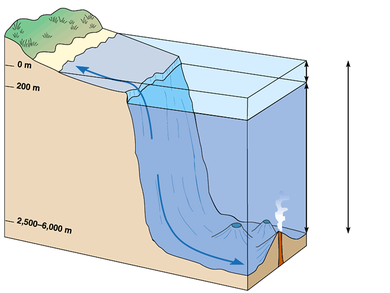 geografi lingkungan: Kegelapan dan Gelombang di Dasar Lautan