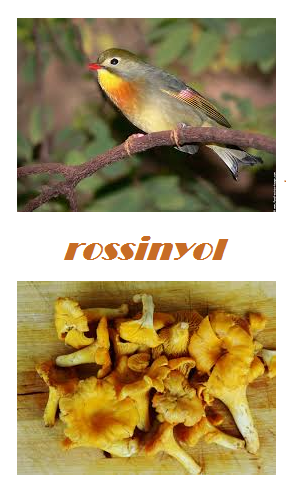 catatrux: d’agost 2014