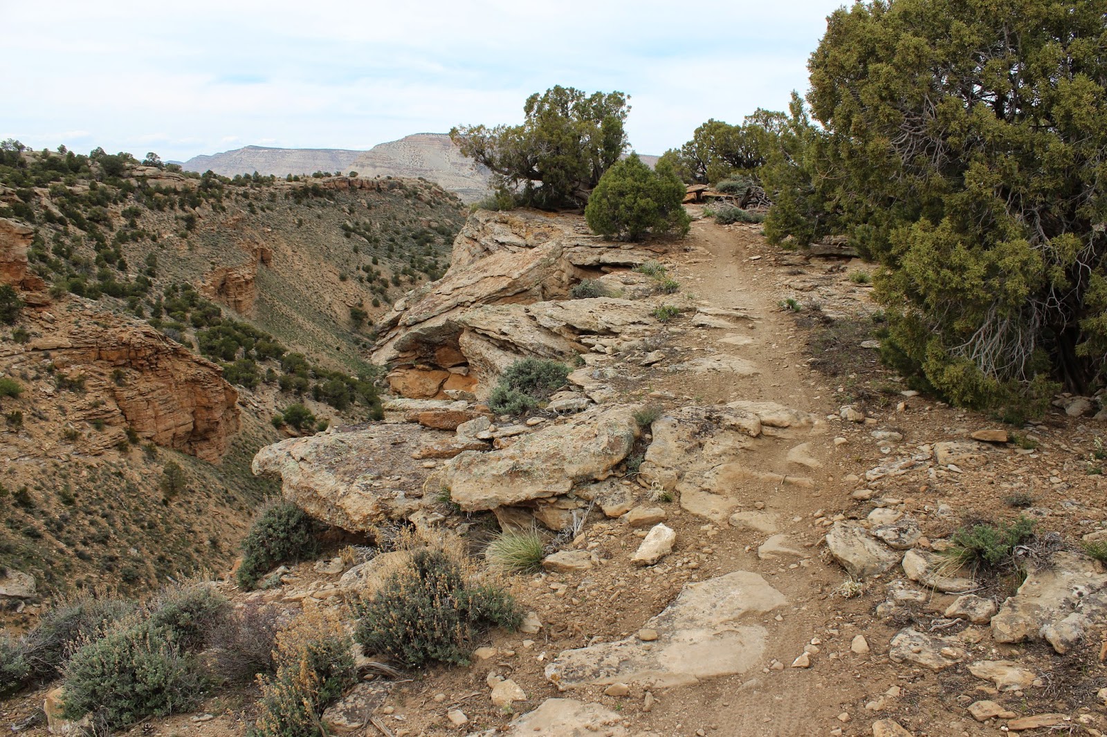 gjhikes.com: Palisade Rim Upper Loop