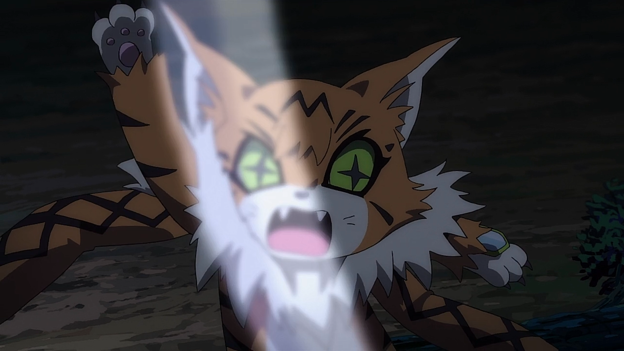 Digi-Arquivo: Meicoomon (Meikuumon) ~ PMD || Acervo de Imagens de ...