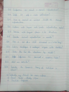 Cbse Class 10 Science Important Questions for 2019