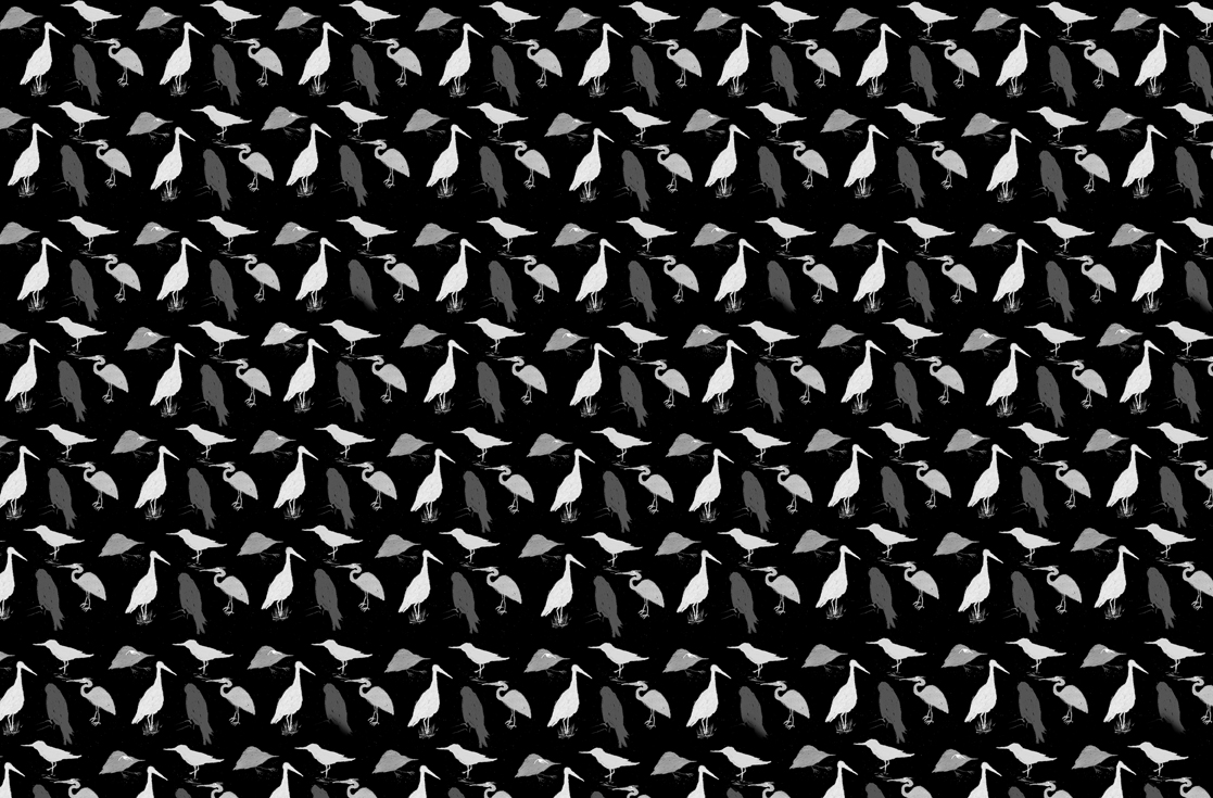 Joanne Young Illustration: Bird Pattern in a repeat