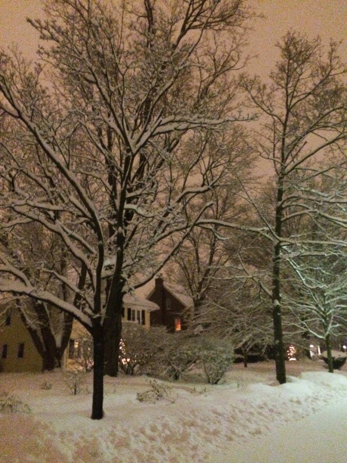 jennifer cho salaff: Winter nightscape