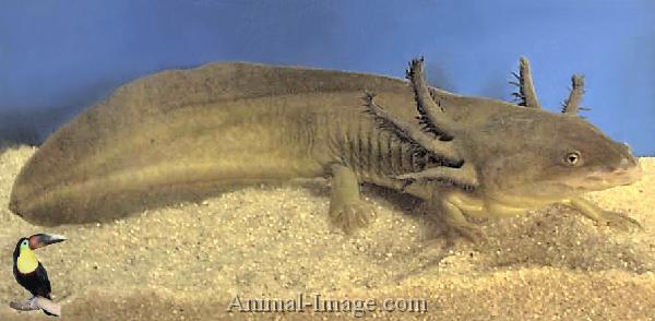 The Wyoming Room - Sheridan County Fulmer Library: The Mysterious ...